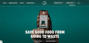 Top 16 Sustainability Website Design Examples In 2025